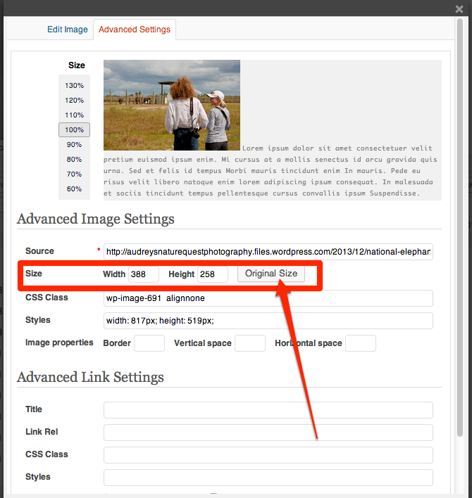 Why are my photos squished now? | WordPress.com Forums